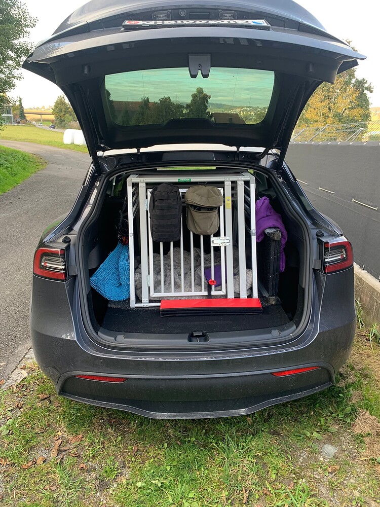 Tesla Model Y Hundebox