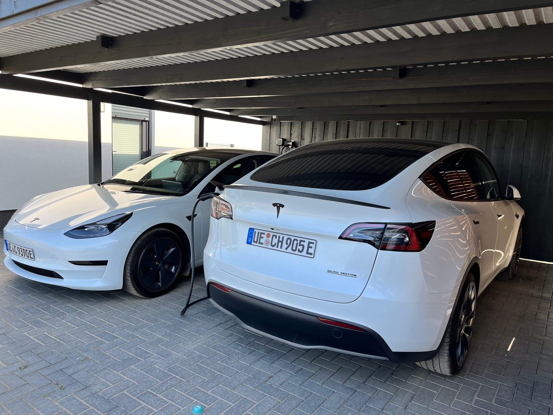 Tesla Fahrer Und Freunde