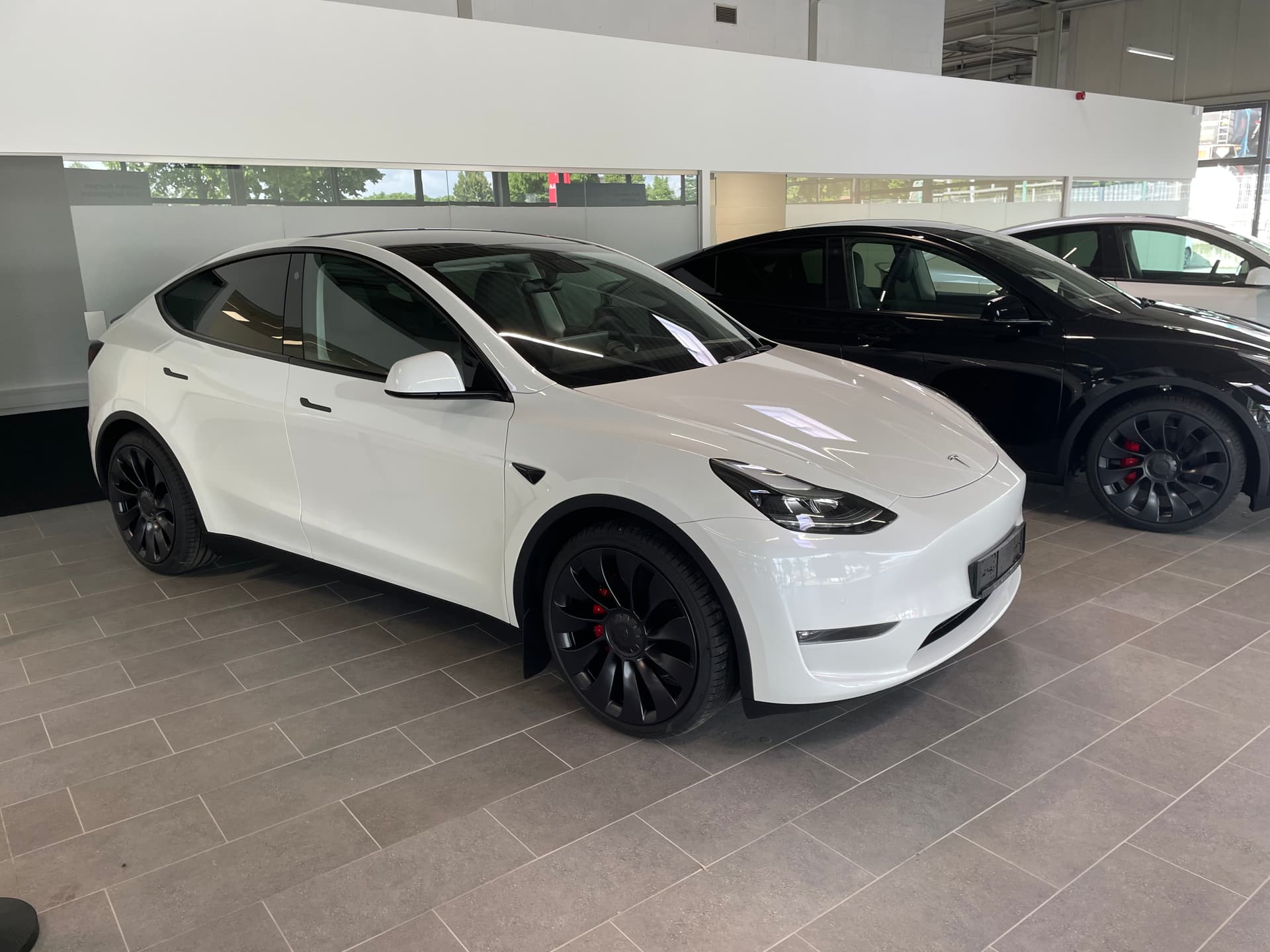 Model Y Forum