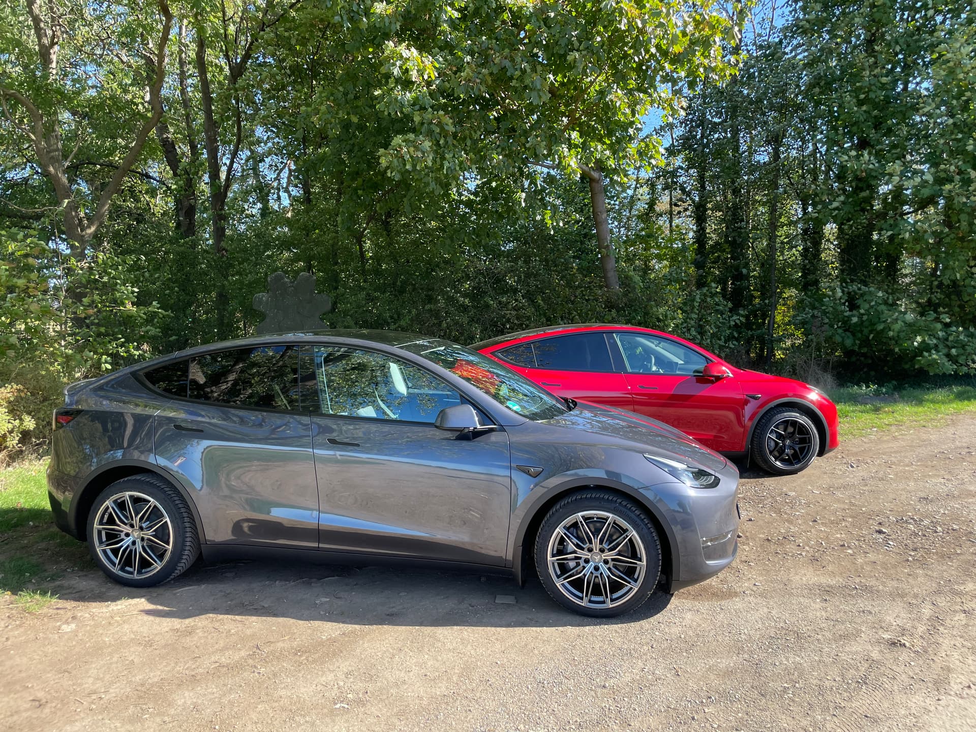 Tff Model Y