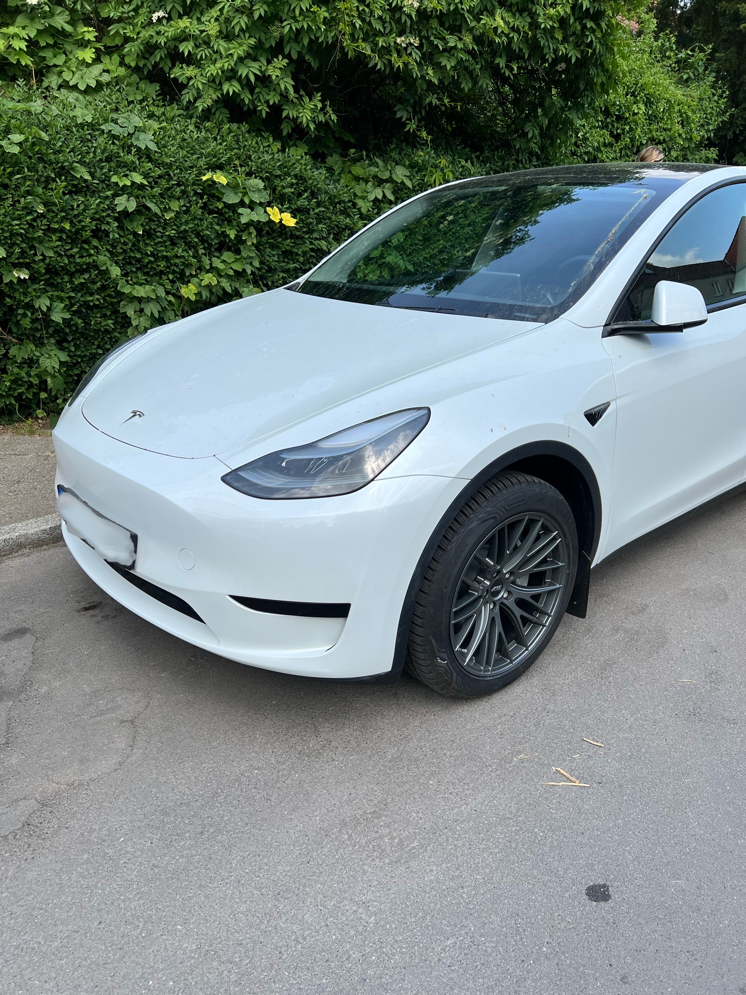Model Y Standard Range Akku