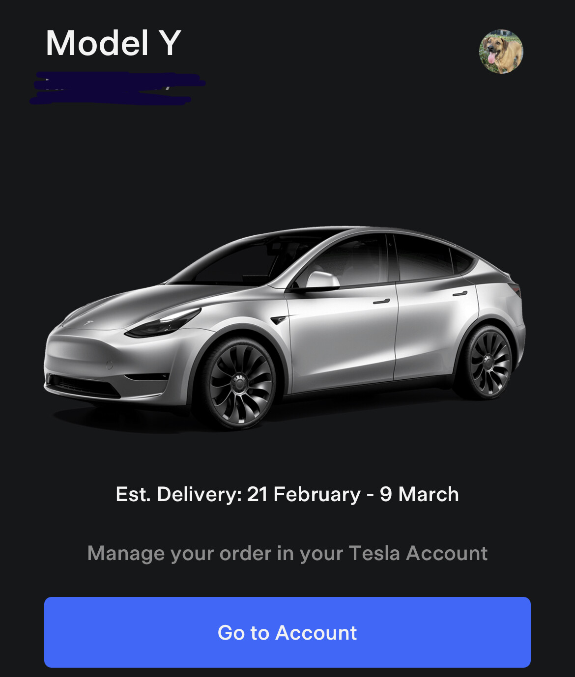 Model Y Performance - Bestellung und vorgesehene Auslieferung Q1/2023 ...