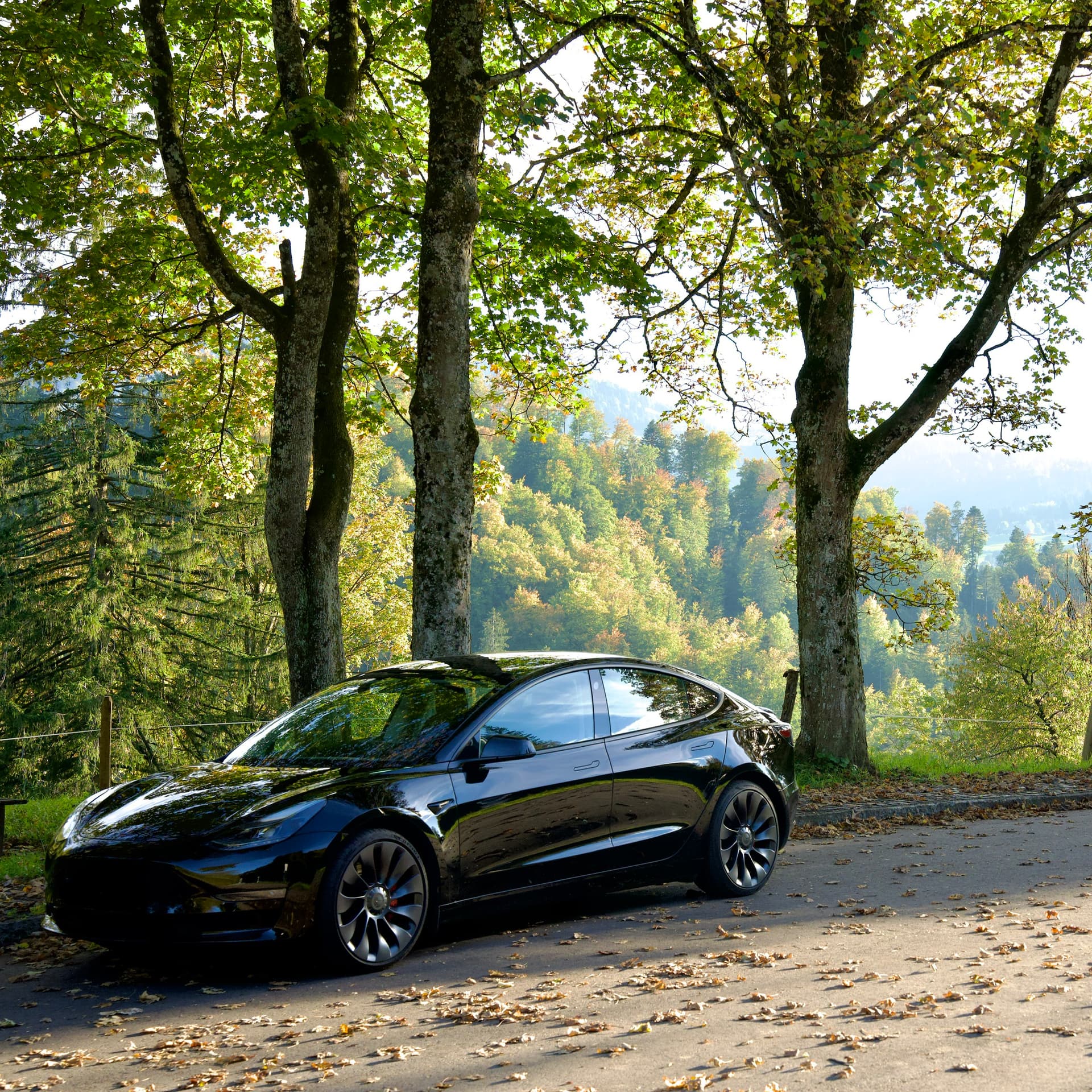 Fotothread Model 3 (Teil 1) - #4491 von Alex_Tesla - Model 3 ...