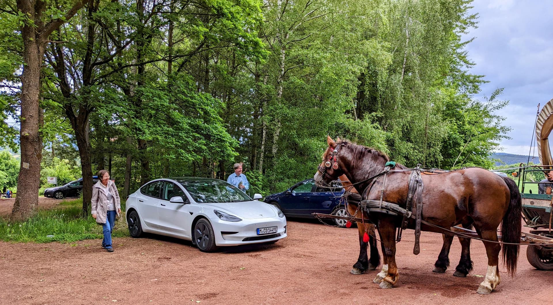 Tesla Momente (Teil 2) - #5758 von hgmichna - Kontakte und Begegnungen ...