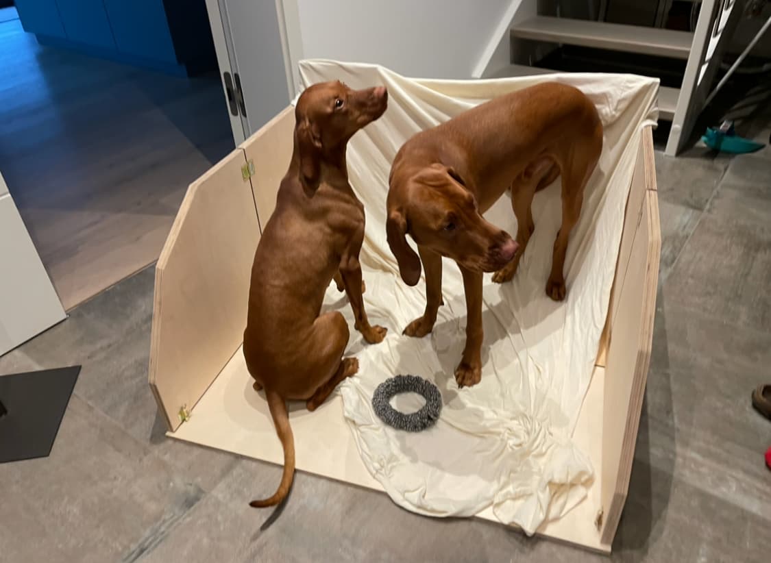 DIY Projekt: Hundebox Model X 6-Sitzer - Tesla Model X - TFF Forum ...