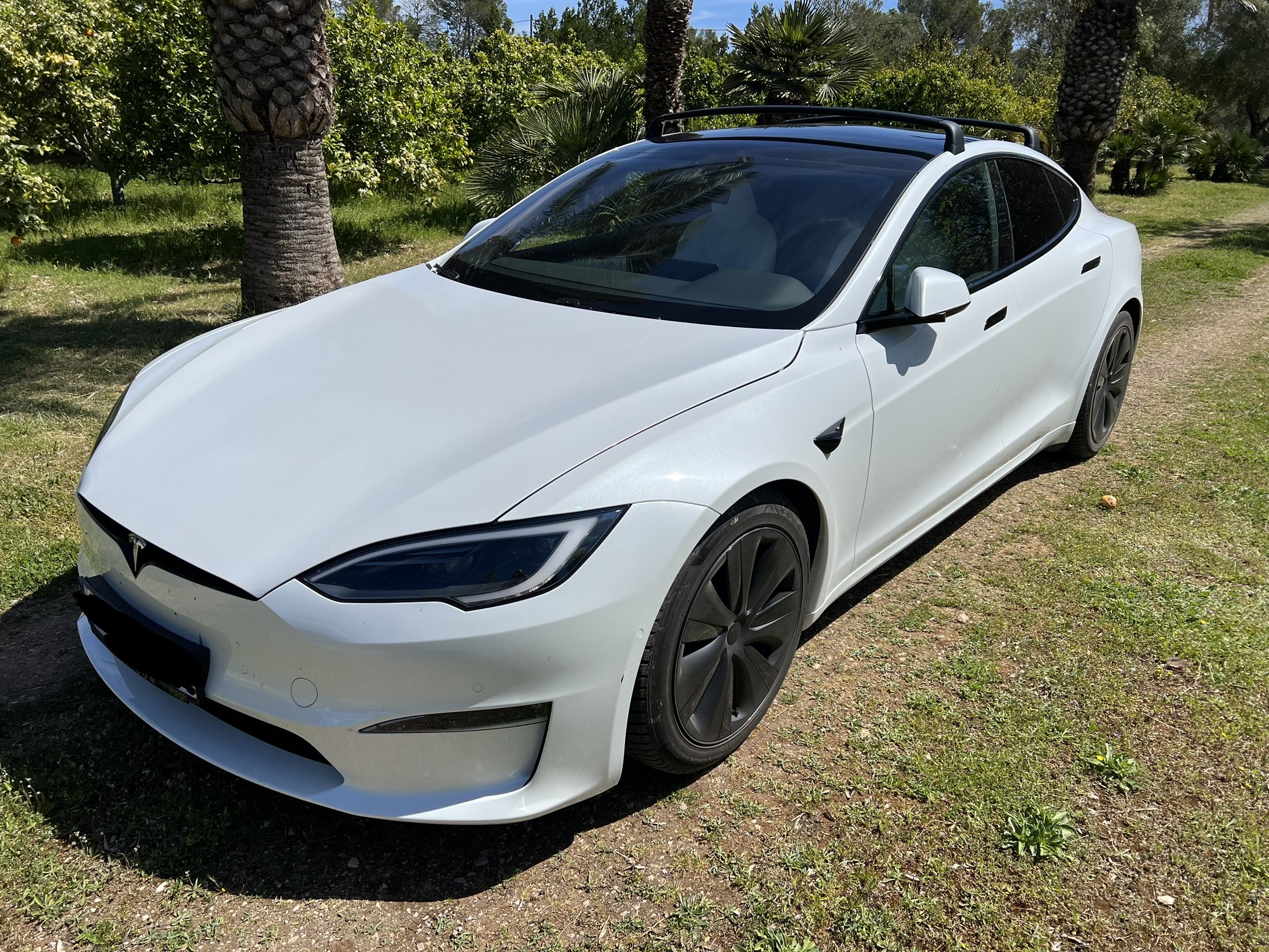 Tesla Model S Weiss