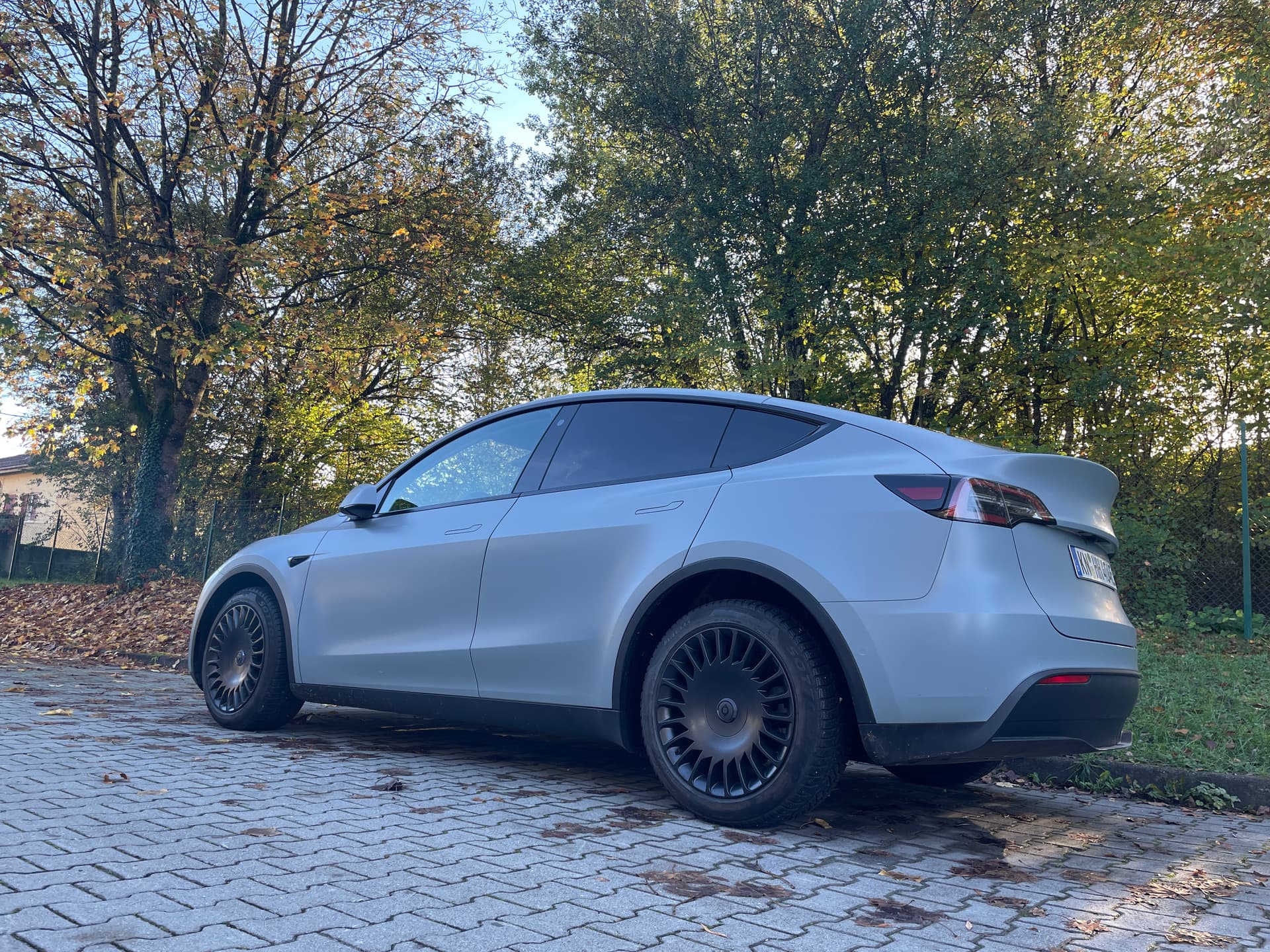 Tff Model Y