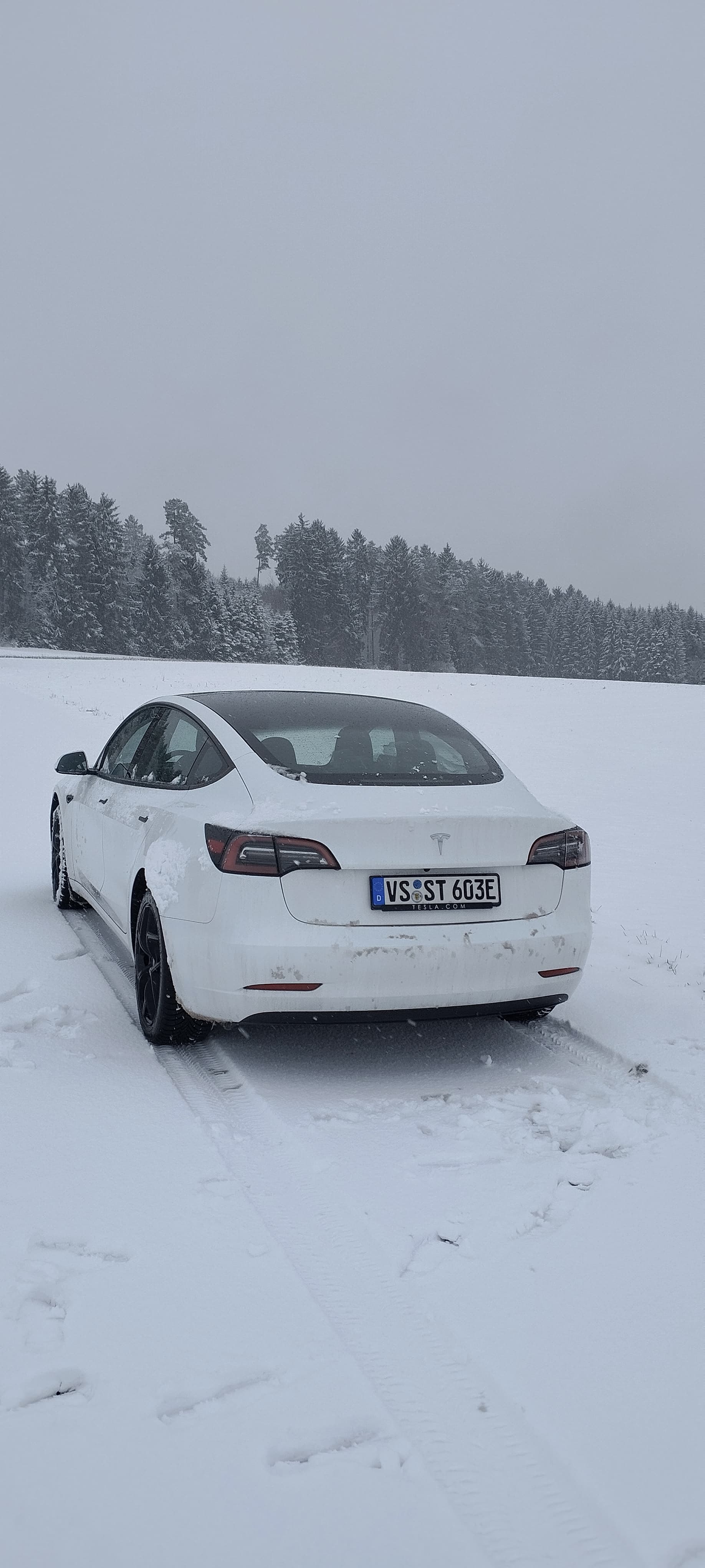Model 3 Hinterradantrieb Tipps für den Winter - Model 3 Allgemeines ...